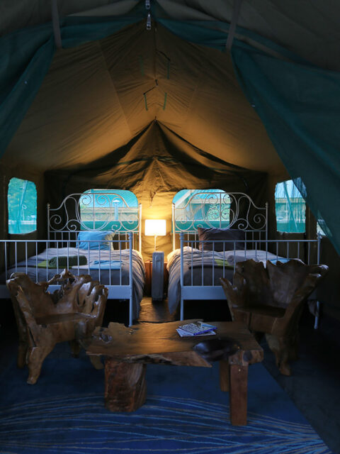 The Bear Camp Experience | What to Expect