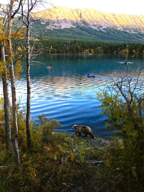 The Bear Camp Experience | What to Expect