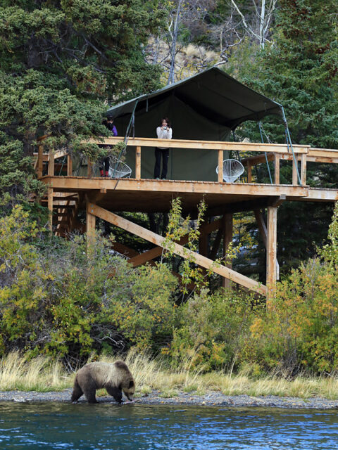 The Bear Camp Experience | What to Expect